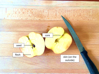 Fall Teaching Ideas and Activities | The Teaching Rabbit