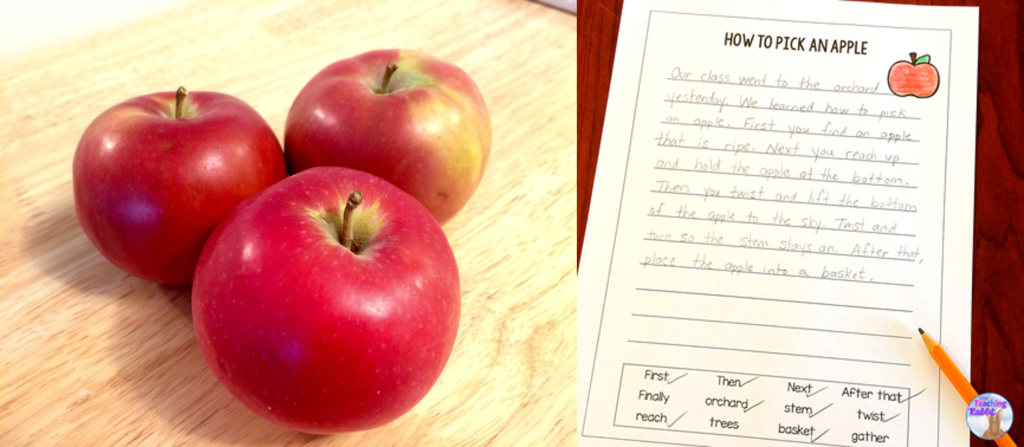 Fall Teaching Ideas and Activities | The Teaching Rabbit